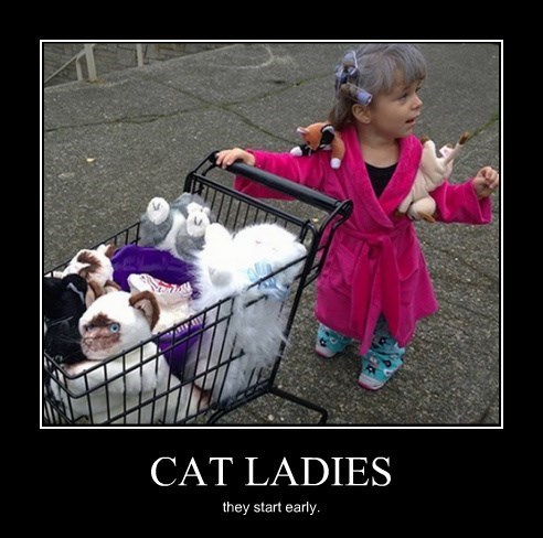 She Doesn't Even Know Those Are Fake Cats - Very Demotivational ...