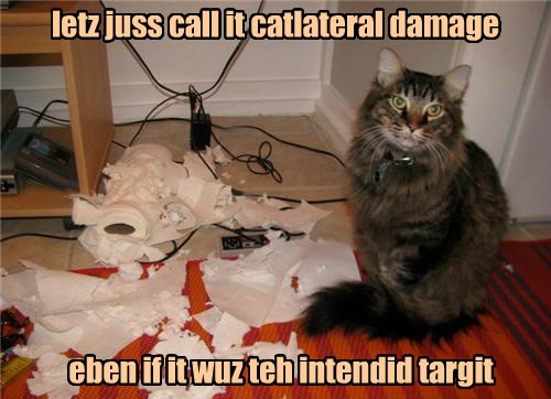 Can We Moob Awn Nao? - Lolcats - lol | cat memes | funny cats | funny ...