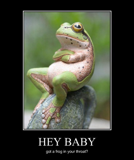 Would You Like One? - Very Demotivational - Demotivational Posters ...