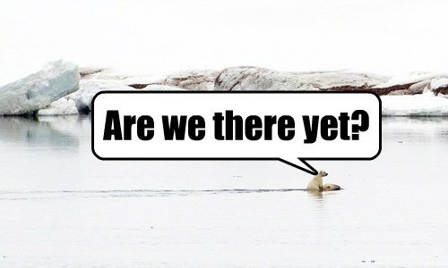 How About Now? - Animal Comedy - Animal Comedy, funny animals, animal gifs