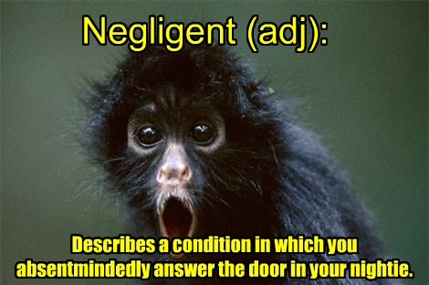 Daffynitions- Negligent - Animal Comedy - Animal Comedy, funny animals ...