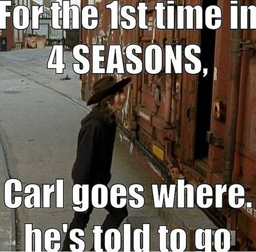 The Walking Dead - carl grimes - Page 5 - Memes of The Walking Dead ...