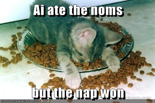 Guess My Race is Run - Lolcats - lol | cat memes | funny cats | funny ...