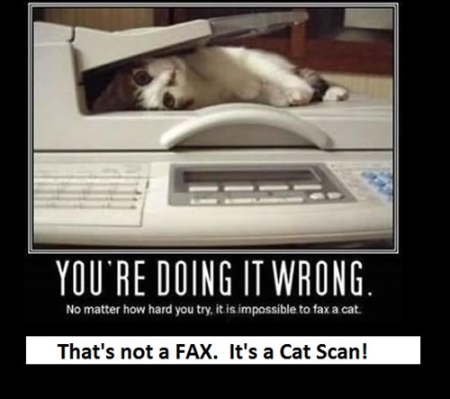 Memebase - fax - All Your Memes In Our Base - Funny Memes - Cheezburger
