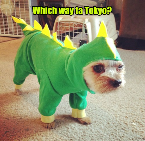 I Has A Hotdog - godzilla - Funny Dog Pictures | Dog Memes | Puppy ...