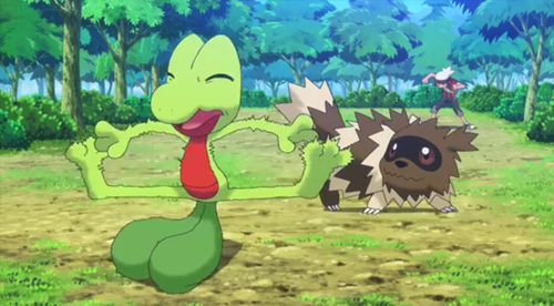 Pokémemes - treecko - Pokemon Memes - Pokémon, Pokémon GO - Cheezburger