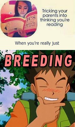 NO NOT THIS BREEDING JOKE AGAIN - Pokémemes - Pokémon, Pokémon GO