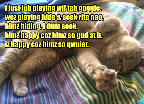 Himz Hiding, I Dunt Seek - Lolcats - lol | cat memes | funny cats ...