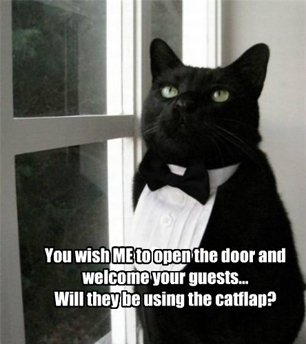 Lolcats - butler - LOL at Funny Cat Memes - Funny cat pictures with ...