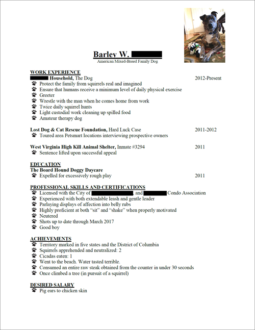 I Has A Hotdog - resume - Funny Dog Pictures | Dog Memes | Puppy ...