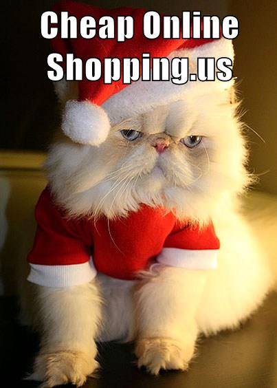 Cheap Online Shopping.us - Lolcats - lol | cat memes | funny cats ...