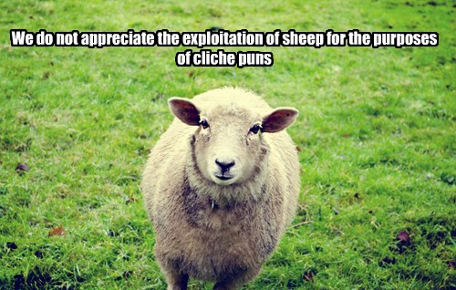 Animal Comedy - sheep - Page 3 - Animal Comedy - Animal Comedy, funny ...