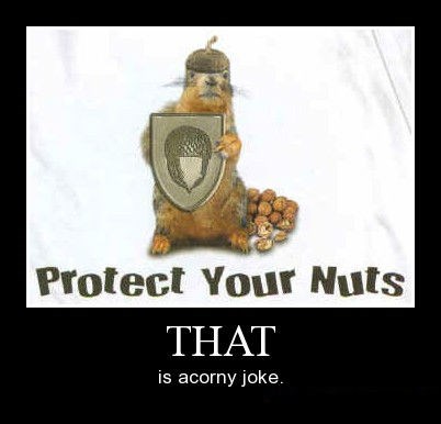 Squirrels Care About Protection - Very Demotivational - Demotivational ...