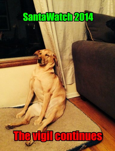 ZzzzSnertZzzzSantaZzzz - I Has A Hotdog - Dog Pictures - Funny pictures ...