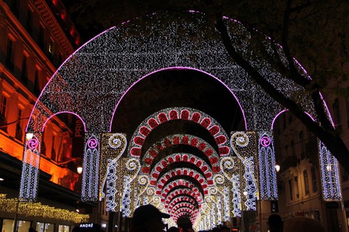 A Scene from the 2014 Festival of Lights in France - WIN! - epic win photos