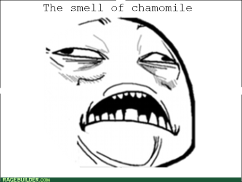 Dat Smell - Rage Comics - rage comics