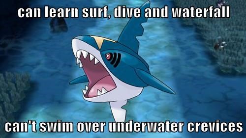 Pokémemes - sharpedo - Pokemon Memes - Pokémon, Pokémon GO - Cheezburger