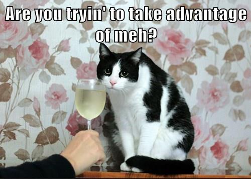 If You Don't Have Toona, You Don't Know Meh at All - Lolcats - lol ...