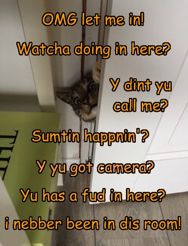 Whatcha Doin Dog Memes