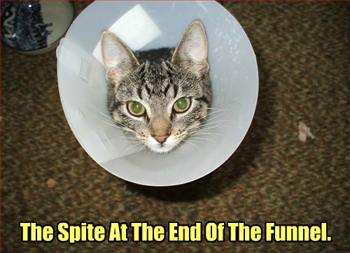 Not A Speeding Train, But You Might Wish It Was. - Lolcats - lol | cat ...