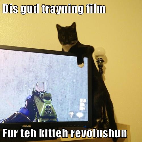 Who's a Good Minion? - Lolcats - lol | cat memes | funny cats | funny ...