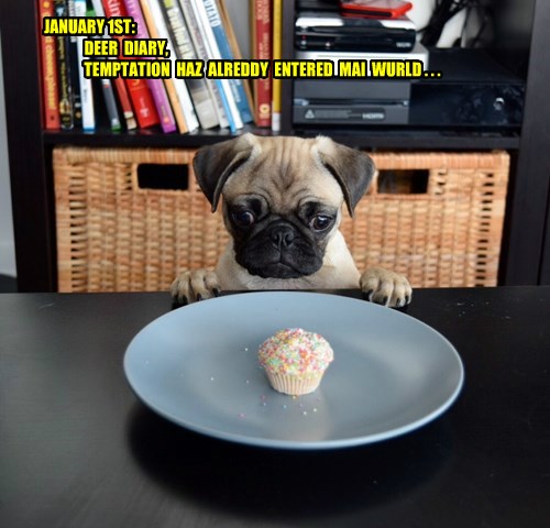 I Has A Hotdog - cupcake - Funny Dog Pictures | Dog Memes | Puppy ...
