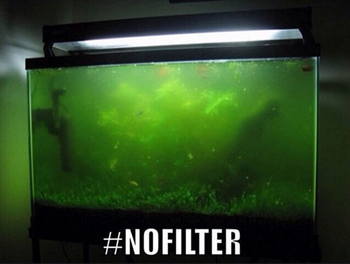 I Take it Back, Add a Filter! - Failbook - Failing On Facebook