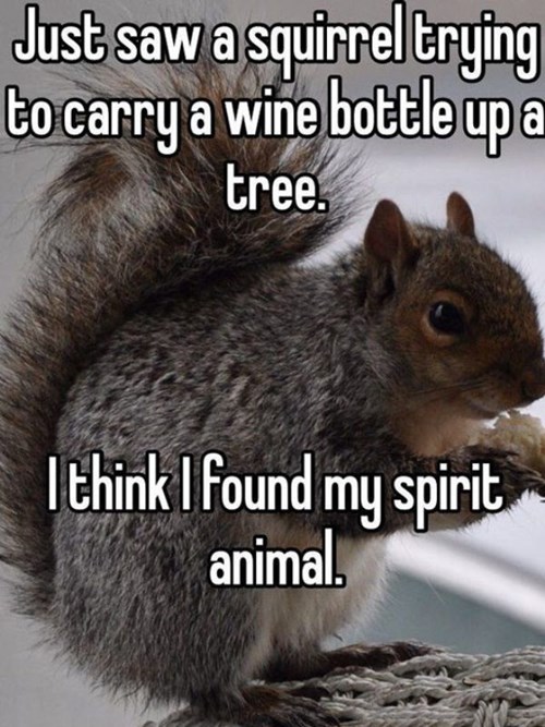 The Squirrel Has a Good Night Planned - After 12 - funny pictures ...