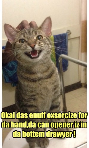 You Have to Keep Your Human on Track - Lolcats - lol | cat memes ...
