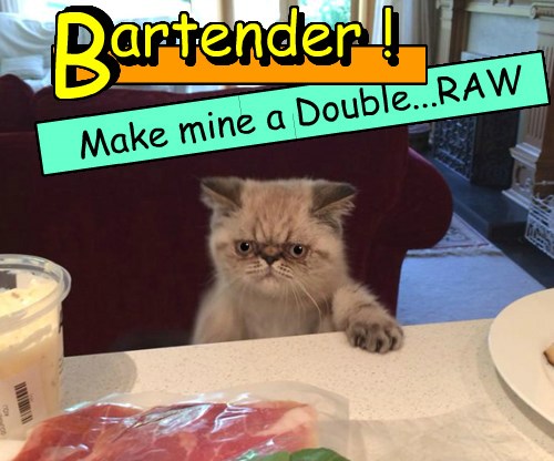 It's Been One of Those Days - Lolcats - lol | cat memes | funny cats ...