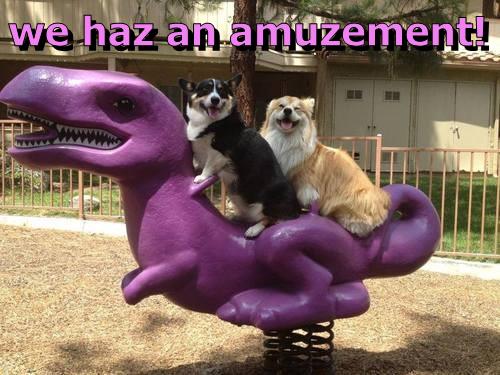 Iz Purple Too - I Has A Hotdog - Dog Pictures - Funny pictures of dogs ...