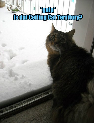 Lolcats - ceiling cat - Page 2 - LOL at Funny Cat Memes - Funny cat ...