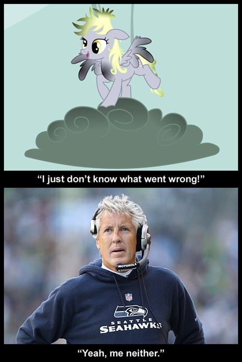 Derphawks - My Little Brony - my little pony, friendship is magic ...