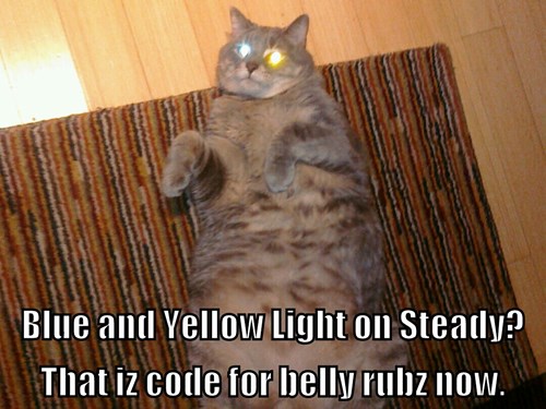 If the Blue is Blinking, Back Away Slowly - Lolcats - lol | cat memes ...
