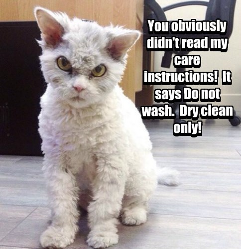 How Hard Is It to Follow Directions? - Lolcats - lol | cat memes ...