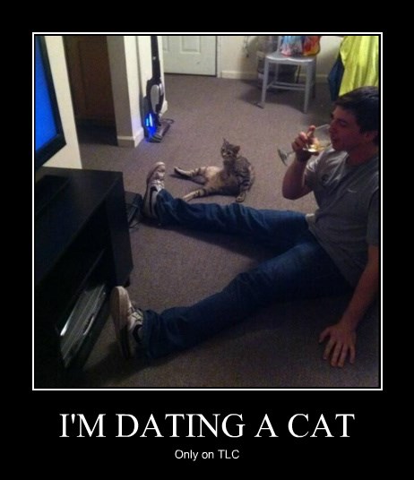 An Instant Hit! - Lolcats - lol | cat memes | funny cats | funny cat ...