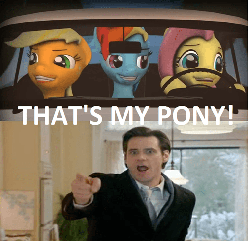 What Is Friendship My Little Brony My Little Pony Friendship Is 