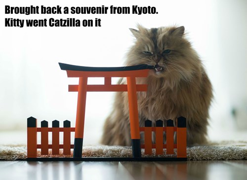 Lolcats - godzilla - LOL at Funny Cat Memes - Funny cat pictures with ...