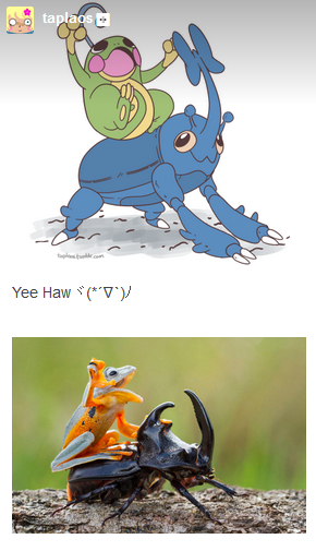 Pokémemes - politoed - Pokemon Memes - Pokémon, Pokémon GO - Cheezburger