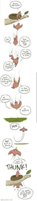 Baby Bird's First Flight - Web Comics - 4koma comic strip, webcomics ...