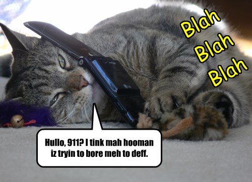 Lolcats - 911 - LOL at Funny Cat Memes - Funny cat pictures with words ...