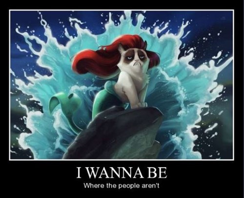 The Grumpiest Mermaid - Very Demotivational - Demotivational Posters ...