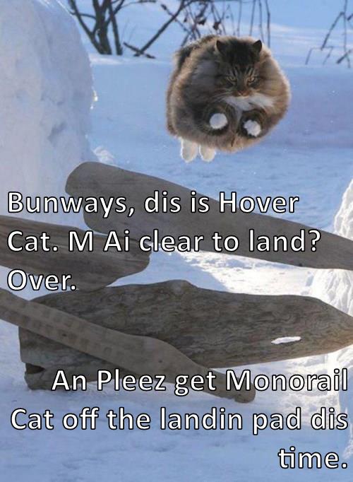 Lolcats - HoverCat - LOL at Funny Cat Memes - Funny cat pictures with ...