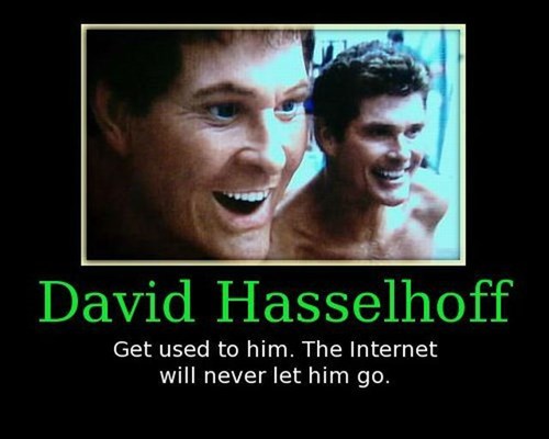Very Demotivational - david hasselhoff - Very Demotivational Posters ...