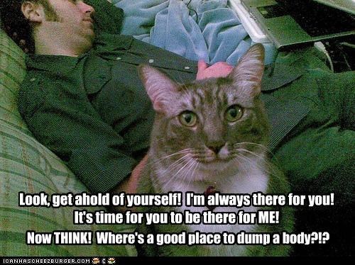 There's No Time for Questions! - Lolcats - lol | cat memes | funny cats ...
