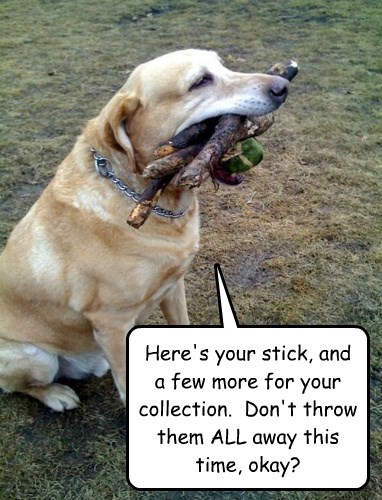 What is it with You Throwing these Things, Anyway? - I Has A Hotdog ...