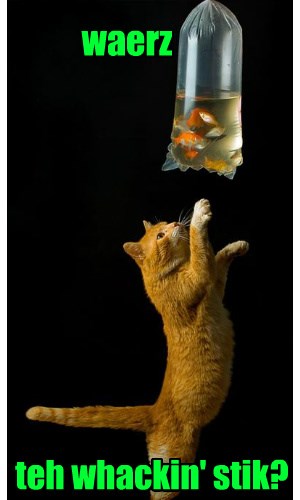 Lolcats - fish - Page 2 - LOL at Funny Cat Memes - Funny cat pictures ...