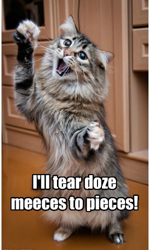 Lolcats - mouse - Page 4 - LOL at Funny Cat Memes - Funny cat pictures ...