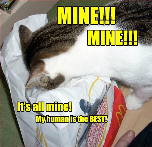 Lolcats - McDonald's - LOL at Funny Cat Memes - Funny cat pictures with ...