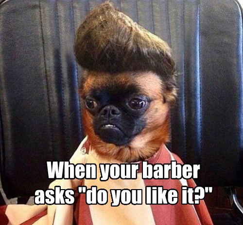 I Has A Hotdog - frown - Funny Dog Pictures | Dog Memes | Puppy ...